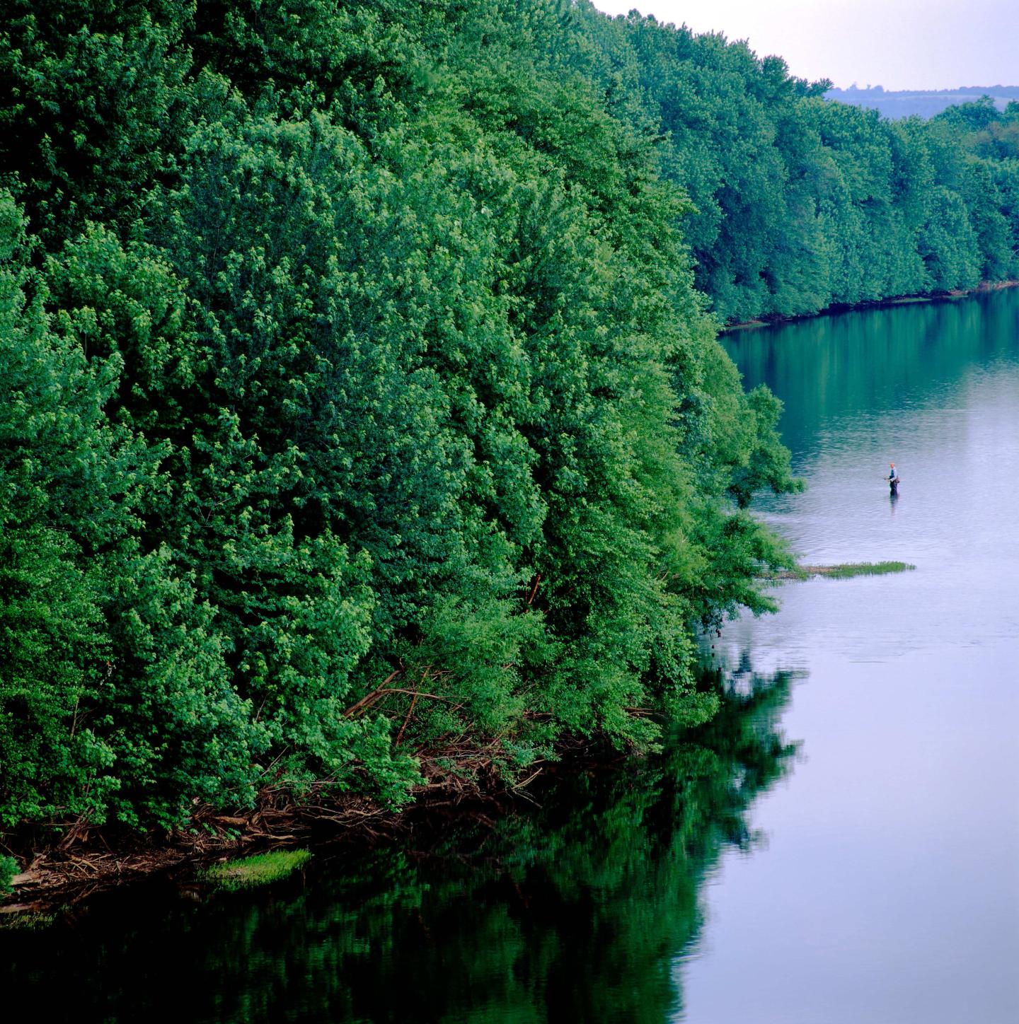 Plastic-burning plant pulls out of Pennsylvania community